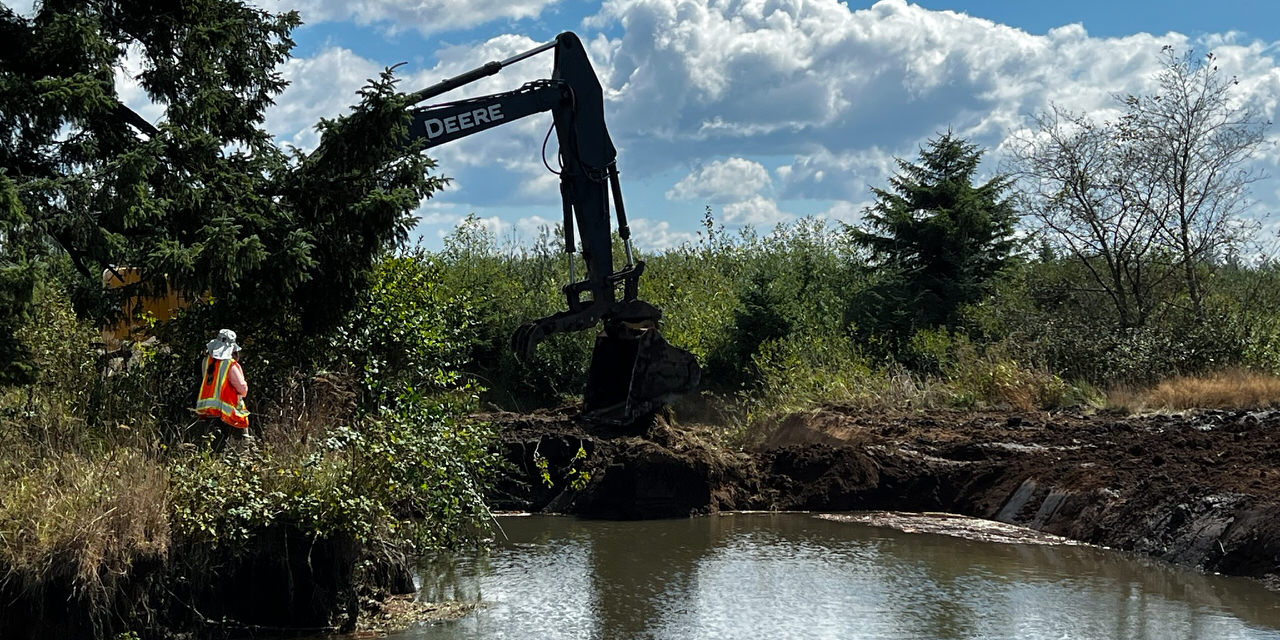 PROJECT STORY: Kilchis River Estuary Restoration 2023 – Wolf Water ...