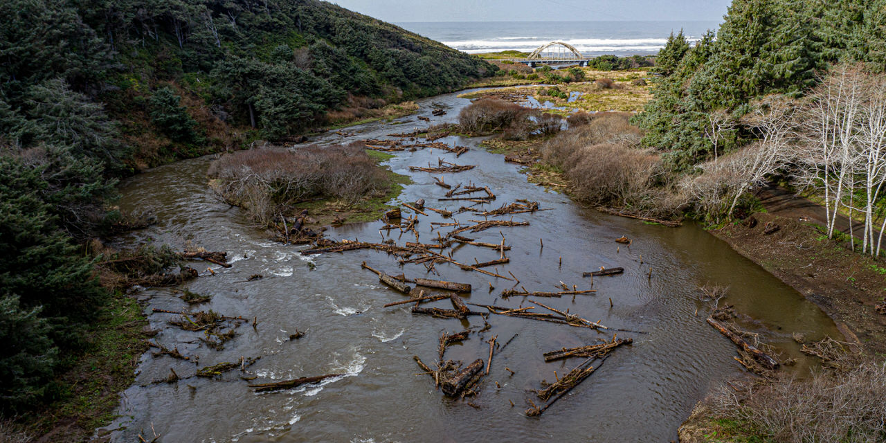 PROJECT STORY: Big Creek Floodplain Restoration 2023 – Wolf Water Resources