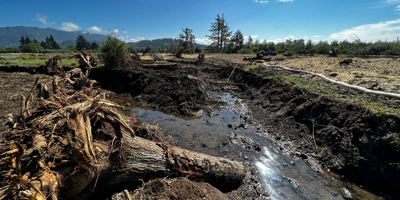 PROJECT STORY: Kilchis River Estuary Restoration 2023 – Wolf Water ...