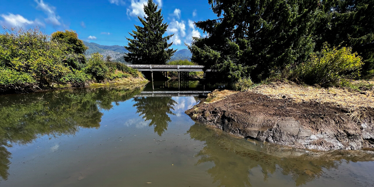 PROJECT STORY: Kilchis River Estuary Restoration 2023 – Wolf Water ...