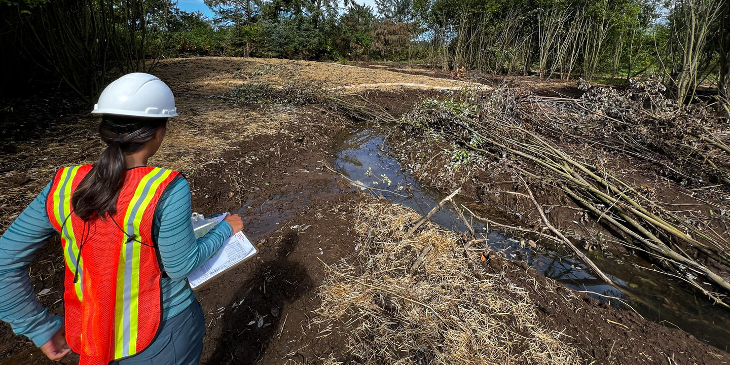 PROJECT STORY: Kilchis River Estuary Restoration 2023 – Wolf Water ...