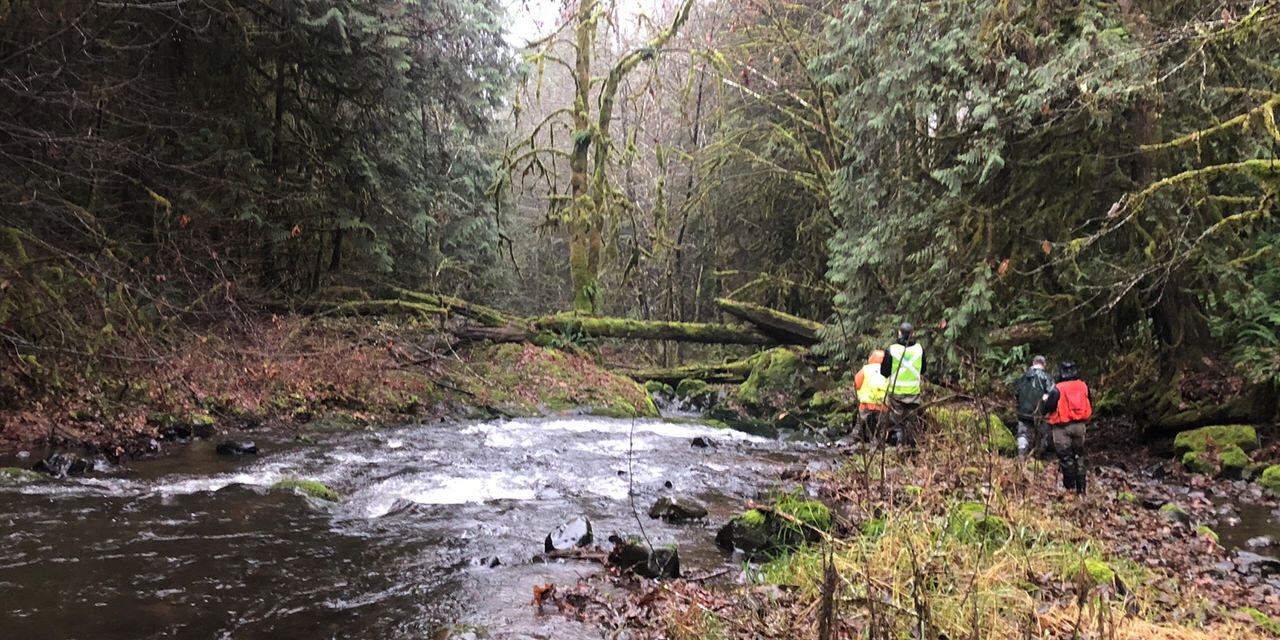 PROJECT STORY: Gobar 2023 – Wolf Water Resources